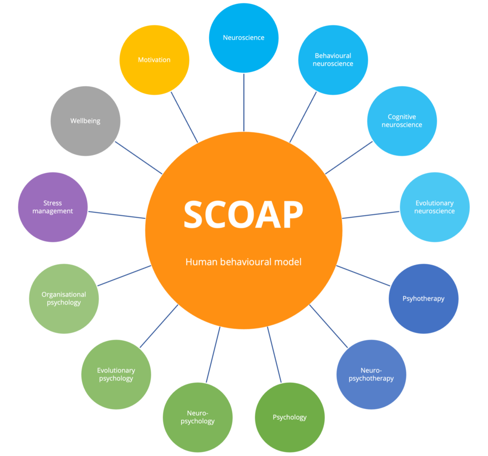 SCOAP An Introduction | leading brains Review